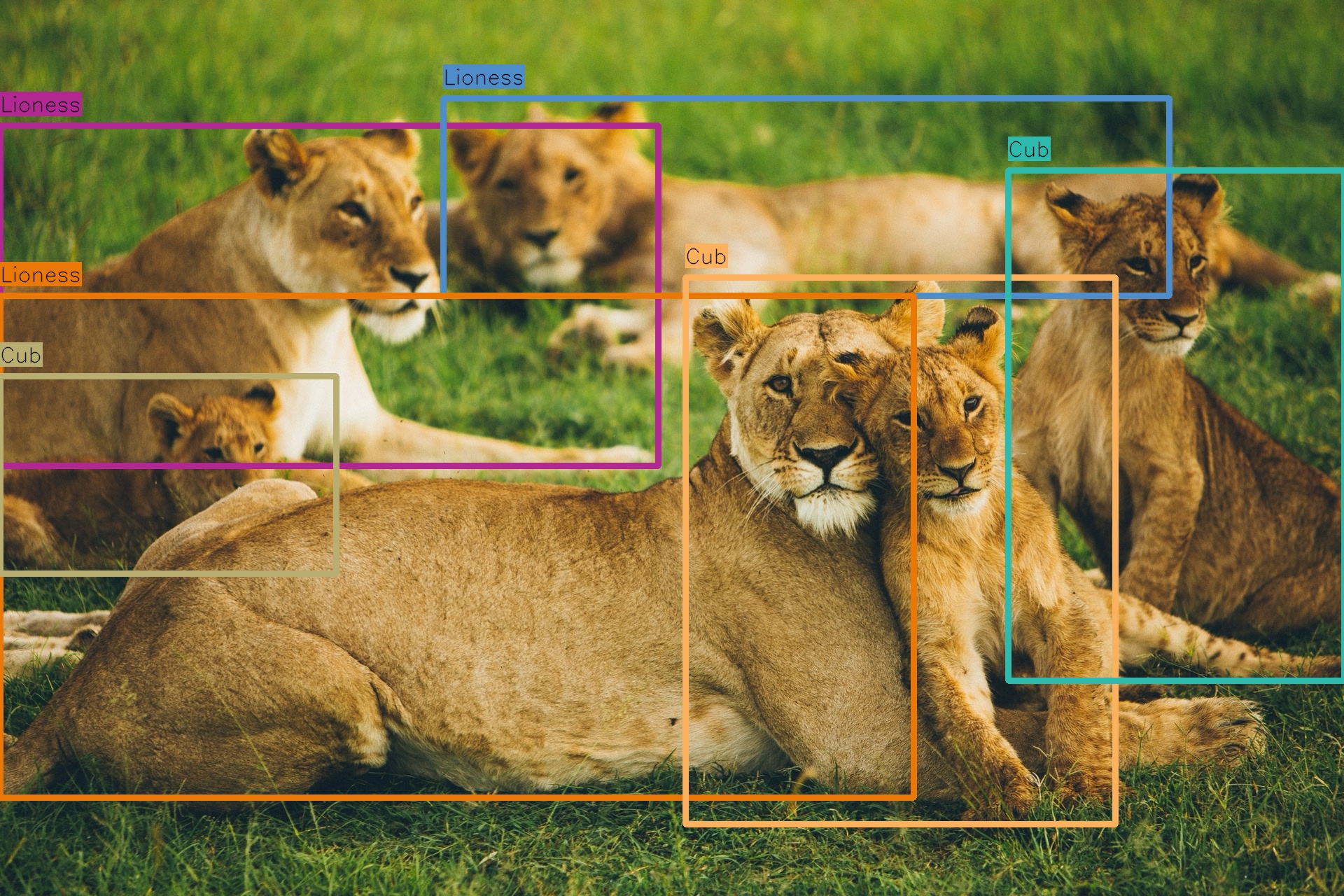 Seeing the World Through Language: Object Detection with Grok | xAI Cookbook