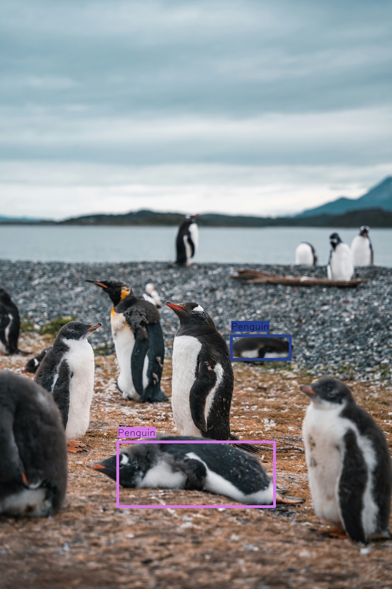 Seeing the World Through Language: Object Detection with Grok | xAI Cookbook